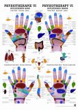 Germania Shop - Reflexzonen Hand, Mini-Poster 24 x 34 cm Reflexzonen ...